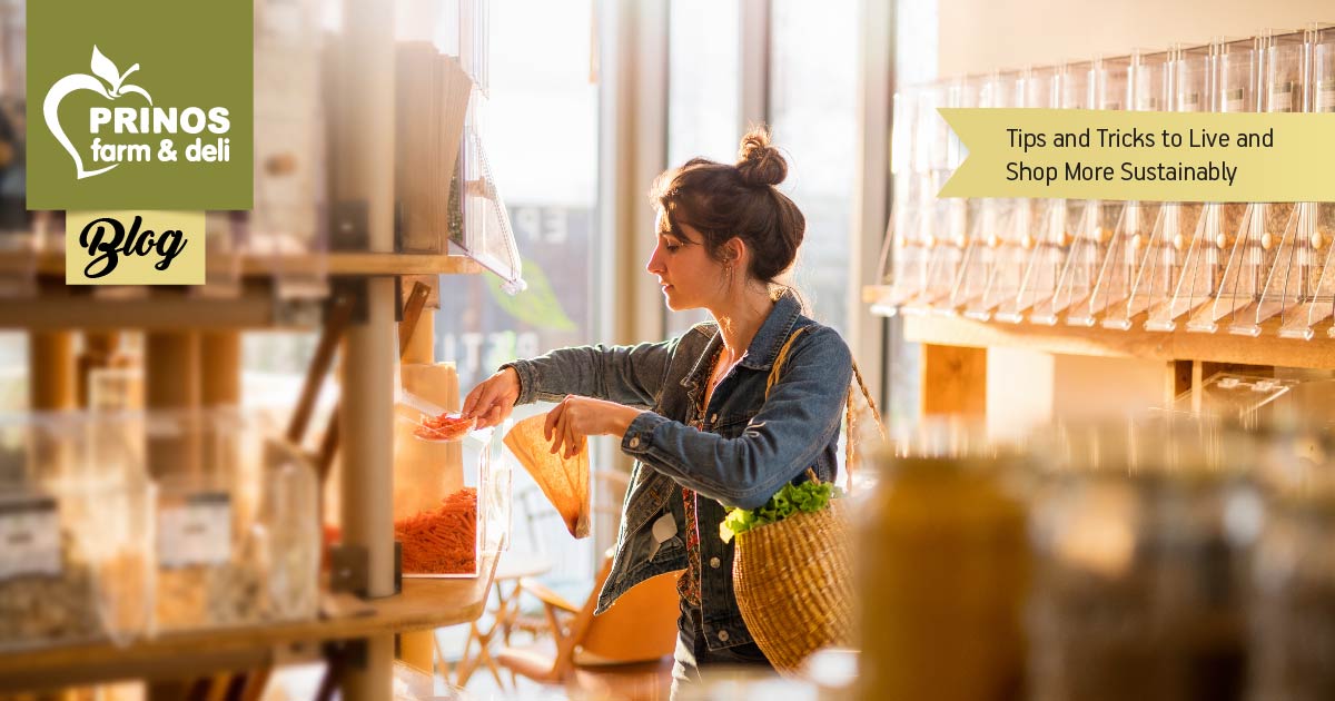 The Ultimate Guide to Sustainable Living and Shopping